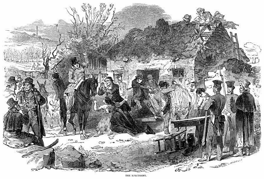 Allen's and Sweeney's of Summerhill Parish, County Meath and Jersey ...