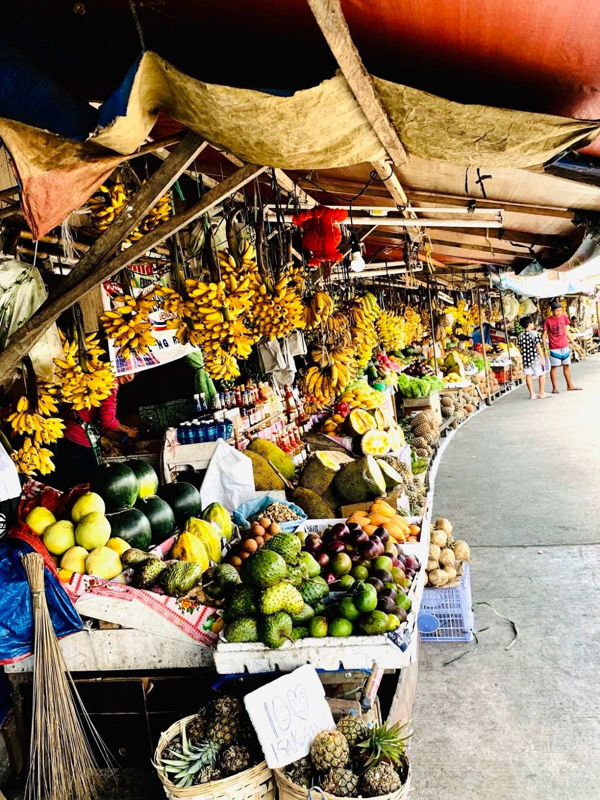 Naturalism - the Eighth Sense: The Less Popular Fruits of the Philippines