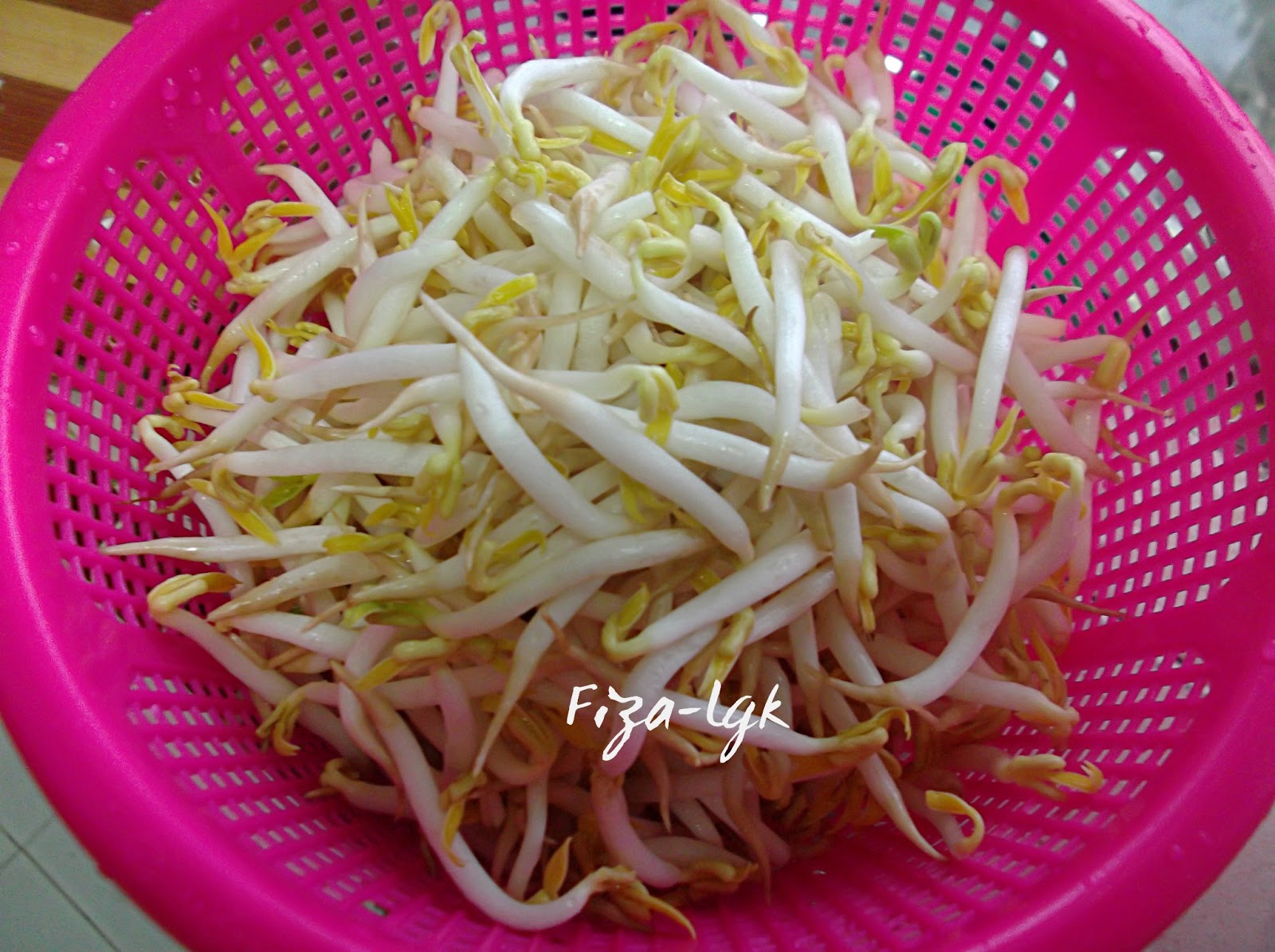 TAUGE GORENG | Fiza's Cooking