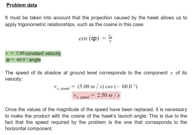 When the Sun is directly overhead, a hawk dives toward the ground with ...