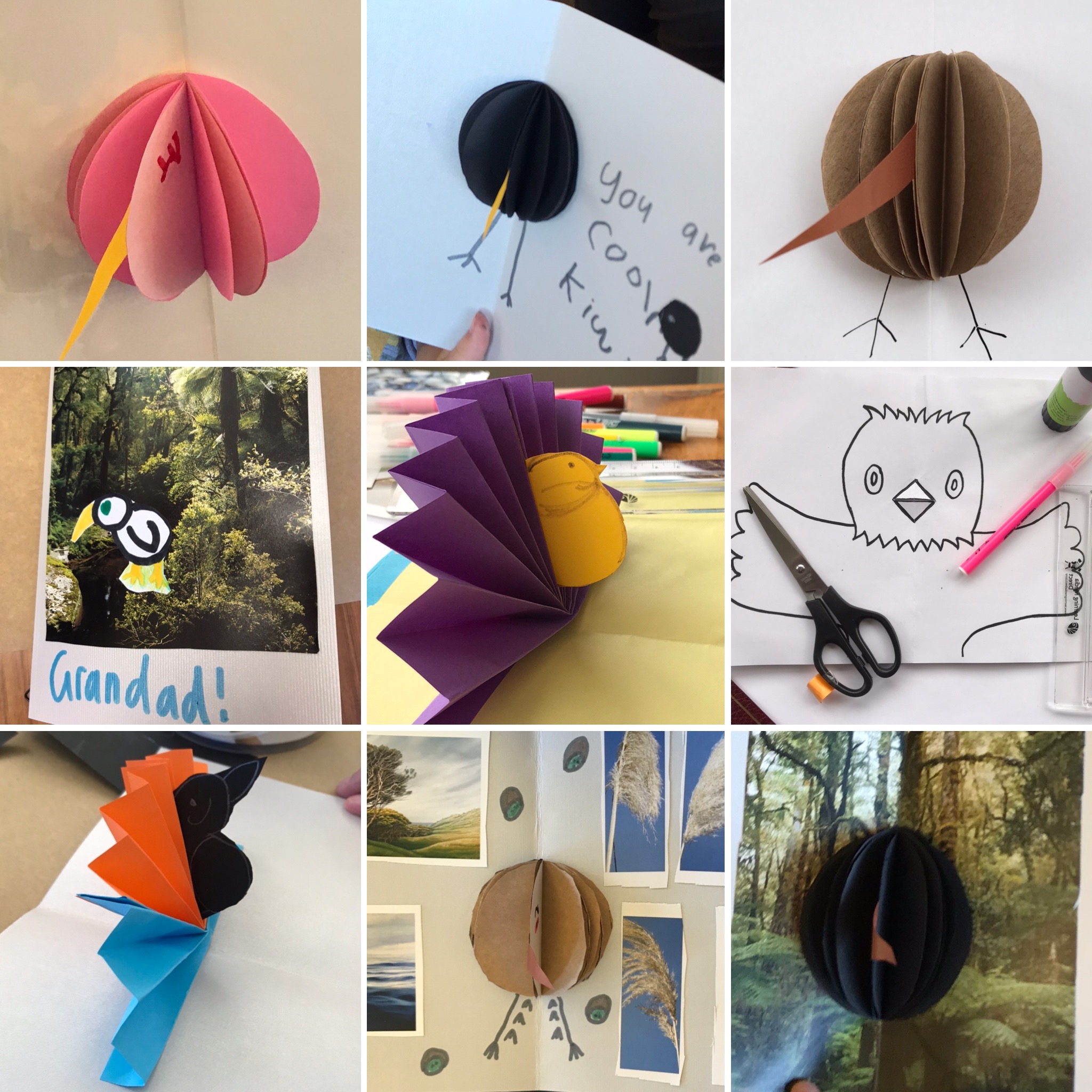 Explore and Discover Nature: Making Native Bird Pop-up Cards - an ...