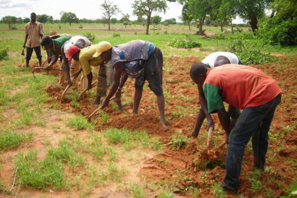 Mali : FINANCEMENT DE L’AGRICULTURE PAR LE FIDA - Africa Green Magazine