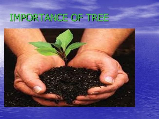 worldgreentree: save the trees