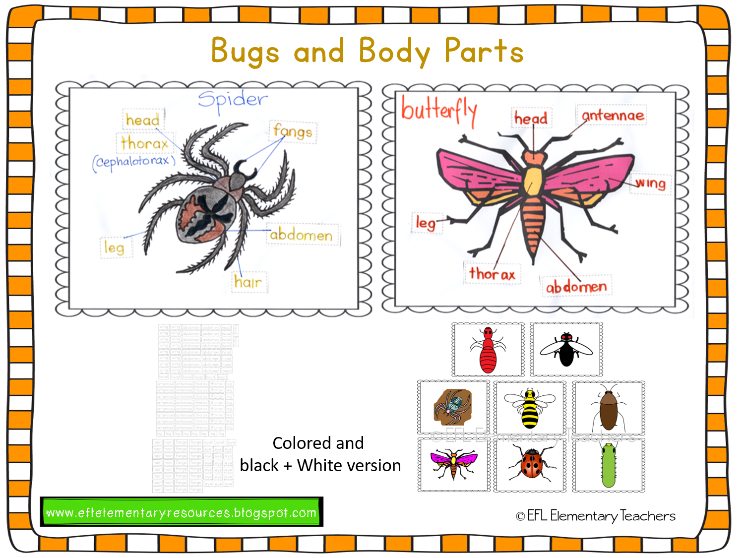 EFL Elementary Teachers: Insects unit for Elementary ESL