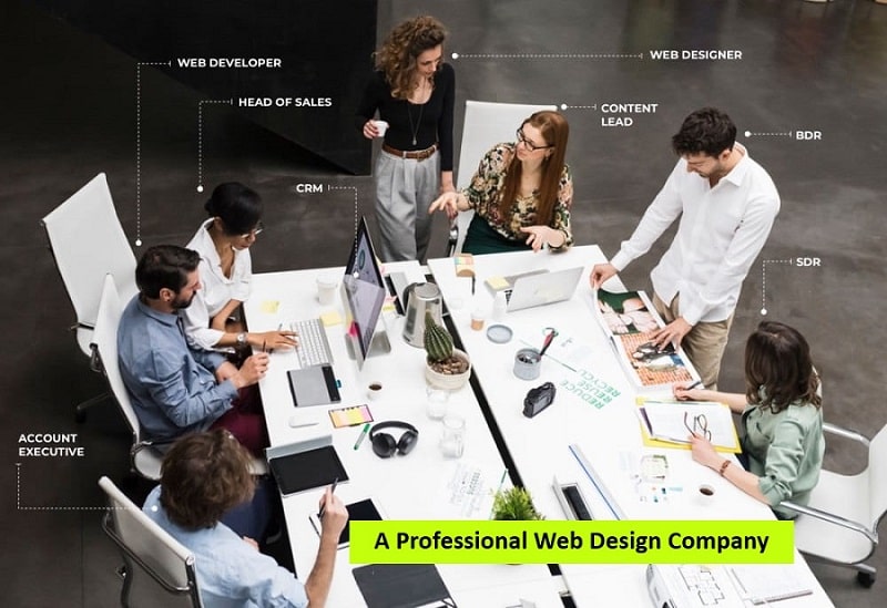 What Are Your Web Design Plans For 2017?