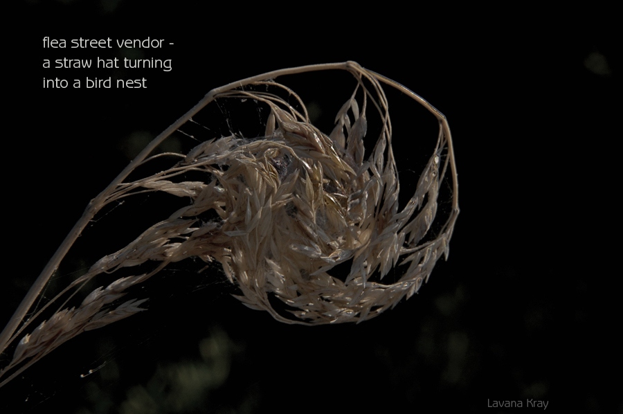 Photo-haiku: NHK World - Haiku Masters. Ep.12 Special edition