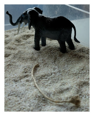 E e is for elephant sensory activities - rubber boots and elf shoes