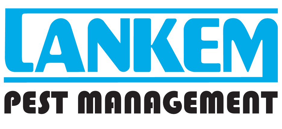 Lankem Pest Management: "Biflex" - Superior Product for Termite Control