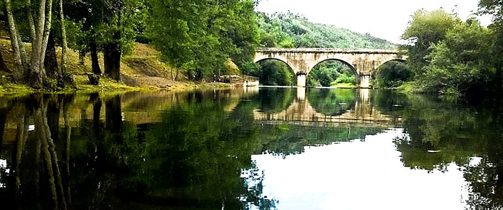 Subsídios para a História do Barril de Alva: 2021