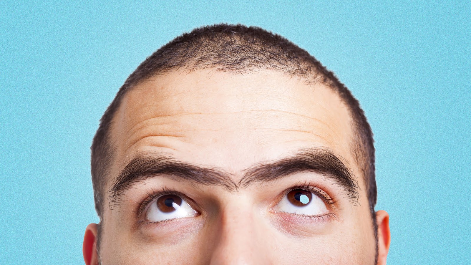 Kol ha'Seridim: Parashas Emor: Does Hashem Hate Unibrows?