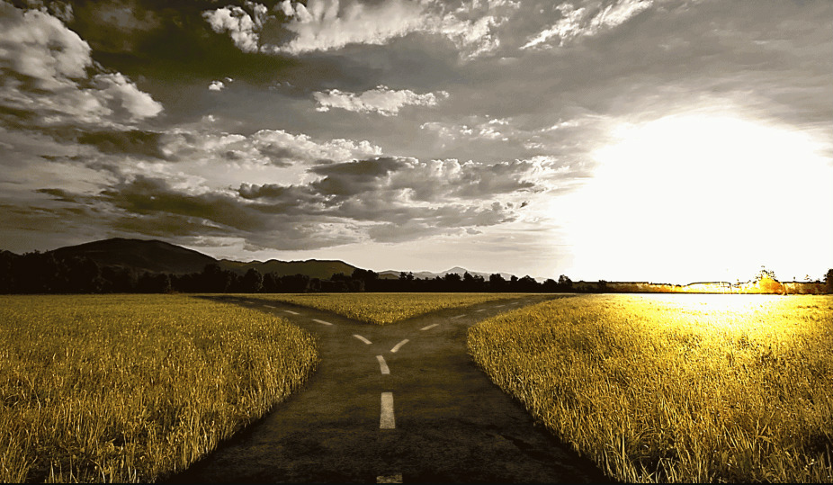 Sheila Bliss : September 2015