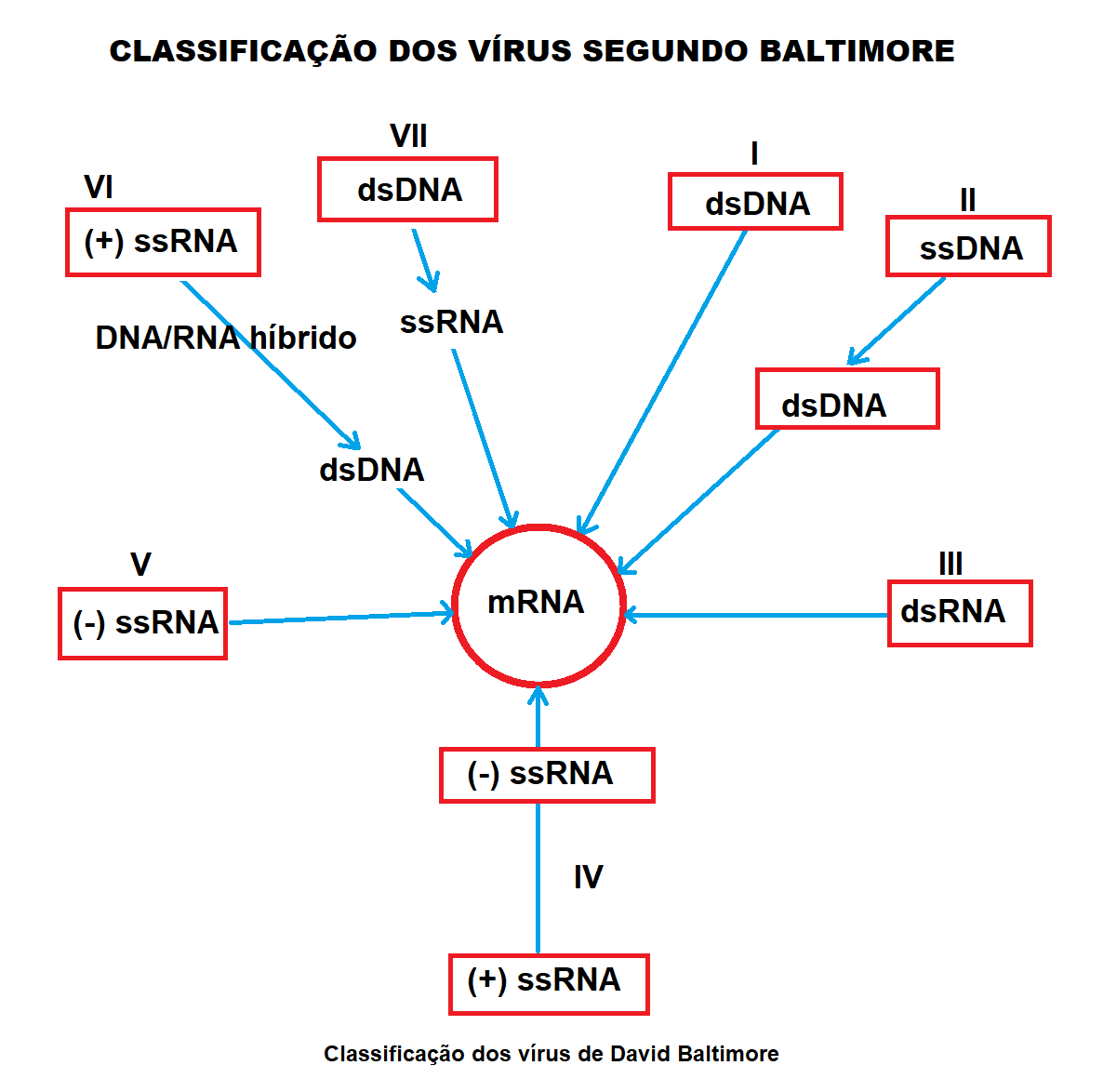 BIOLOGIA PARA A VIDA : VIROLOGIA E COVID-19