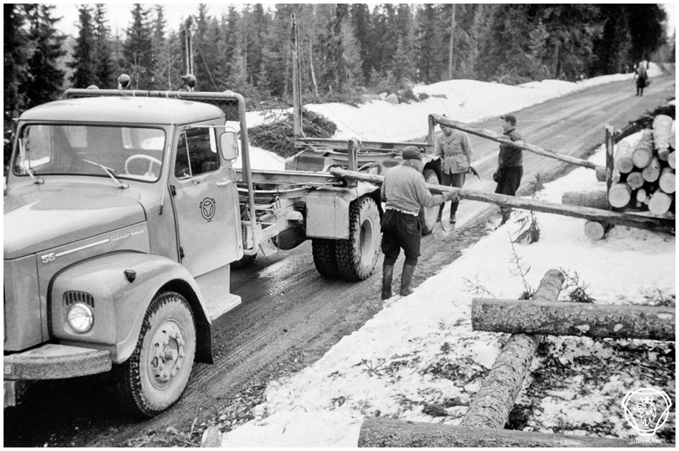 SCANIA: Scania-Vabis 56 timber loading (N)
