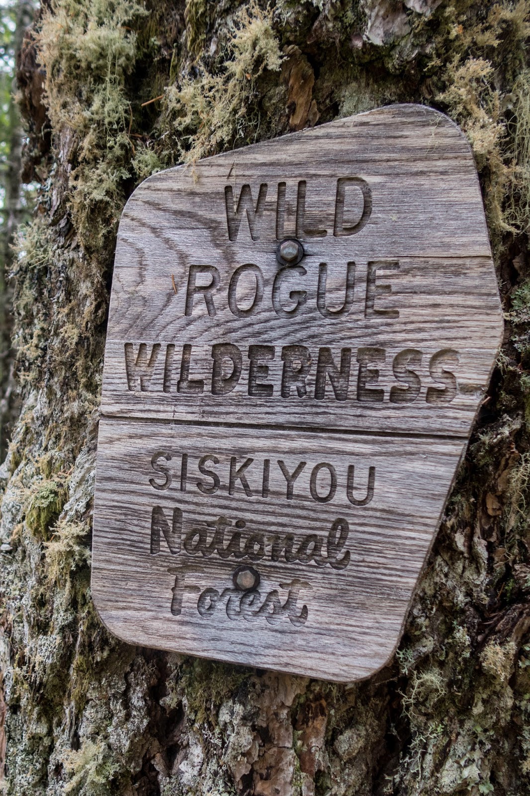 Eric's Hikes: Wild Rogue Wilderness Loop, OR Trail Run