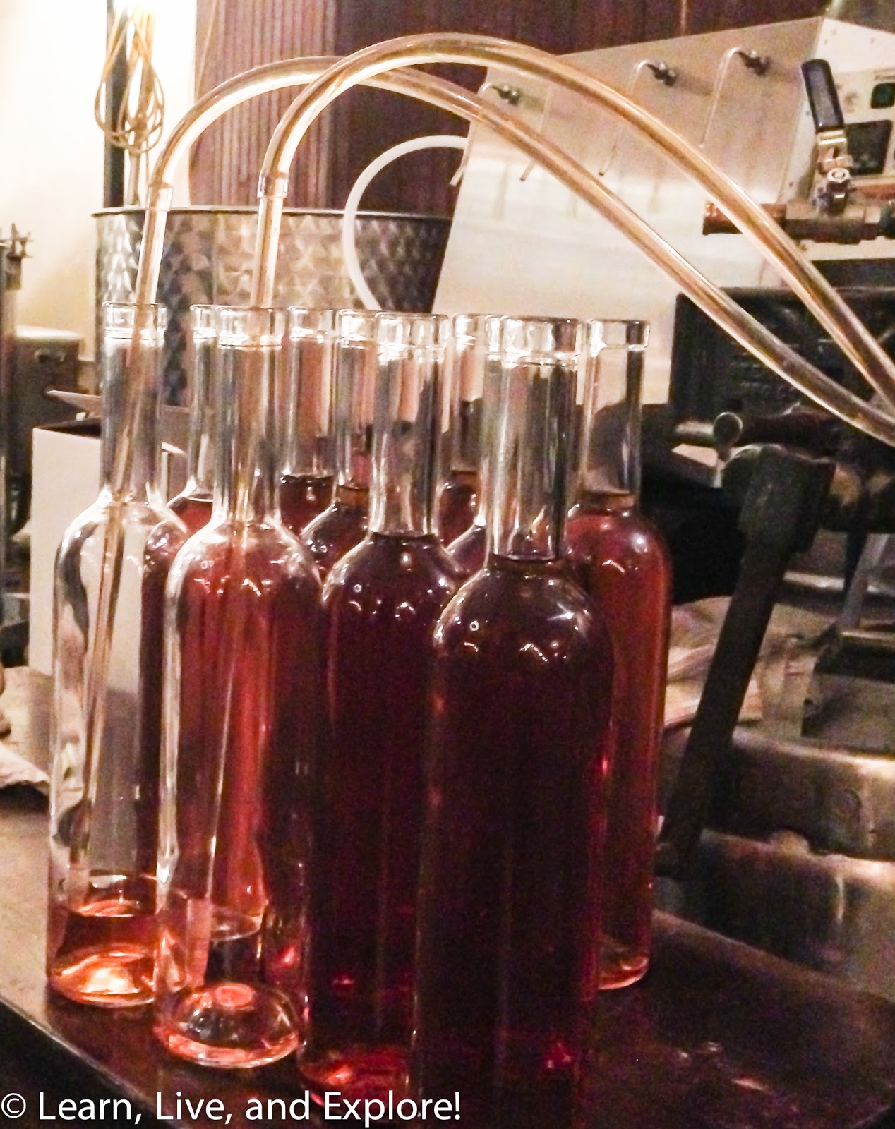 Washington's Beer Country (plus a surprise discovery) ~ Learn, Live ...