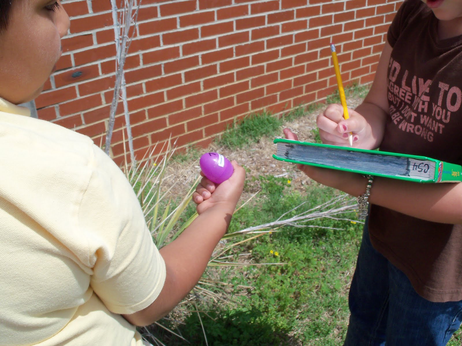 Third Grade Meanderings: Synonym and Antonym Egg Hunt