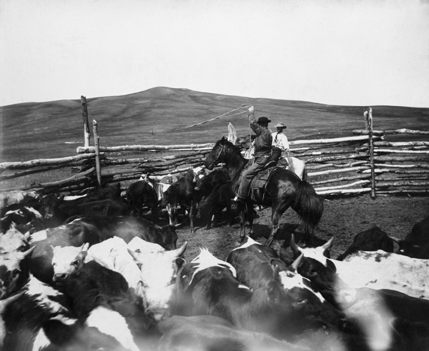 24 Rare Photos Show Canadian Cowboys From the Late 19th and Early 20th ...