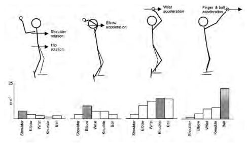 The optimal biomechanics of shot put