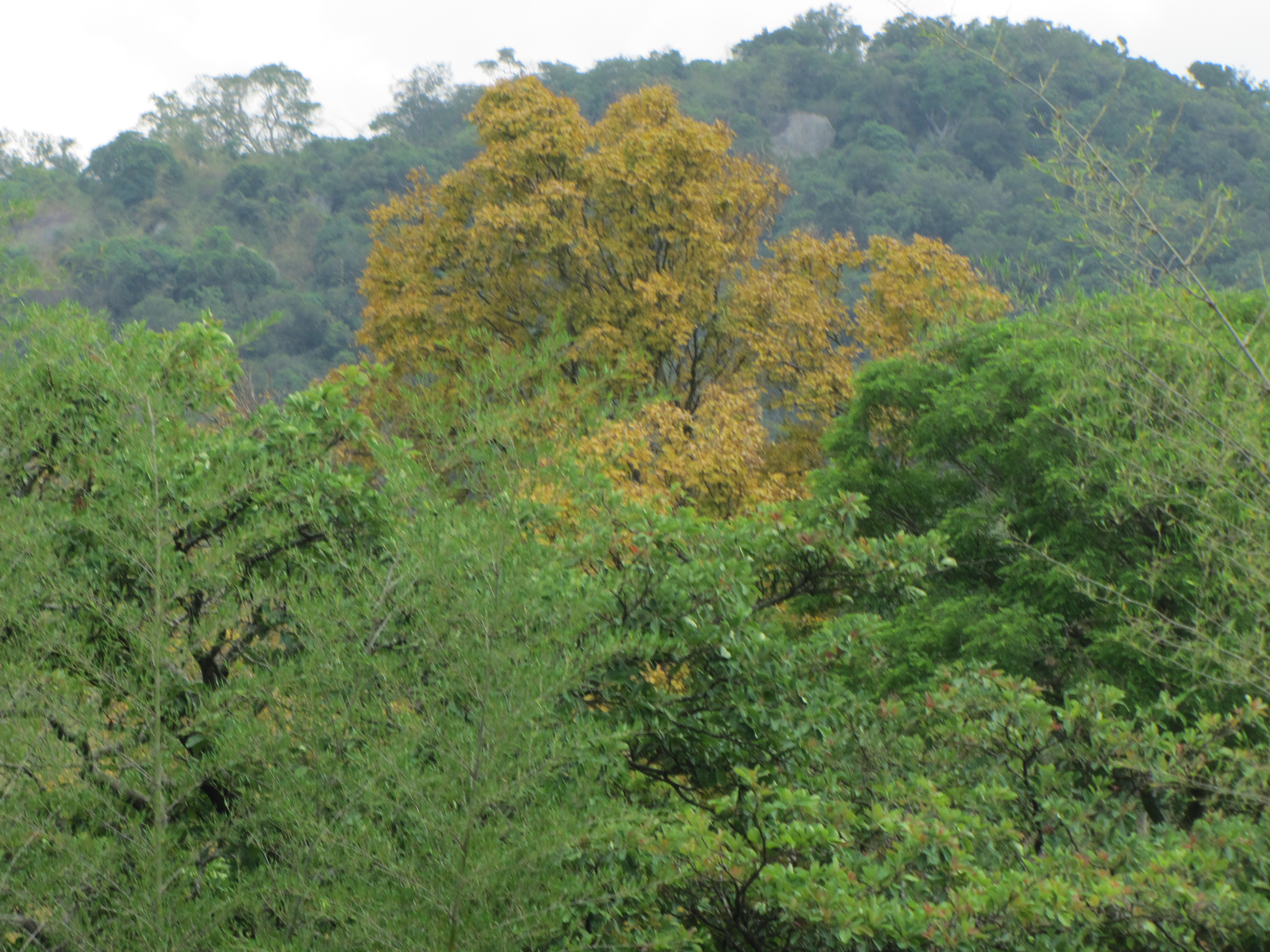 Panchapalli & Bettamugilalam: Hidden getaways from Bangalore