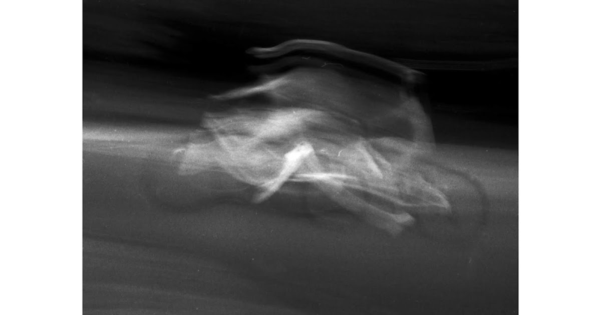 Boxes & Bellows: barrel scraping