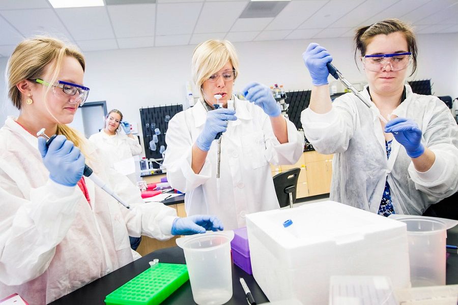 Importance of Biotechnology in Our Contemporary Life