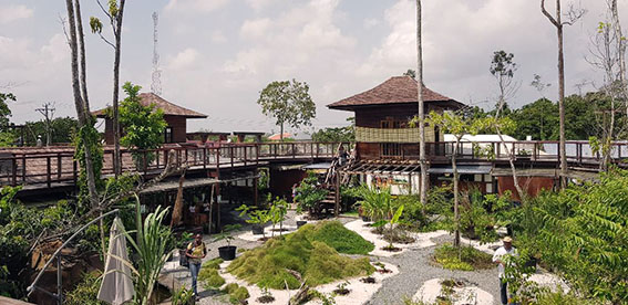 Through the Lens of Judith Redmount: My Trip To the Clevia Park ...