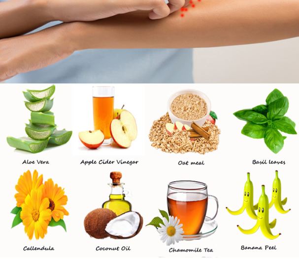 Home Remedies For Skin Allergies And Skin Problems - Leading website ...