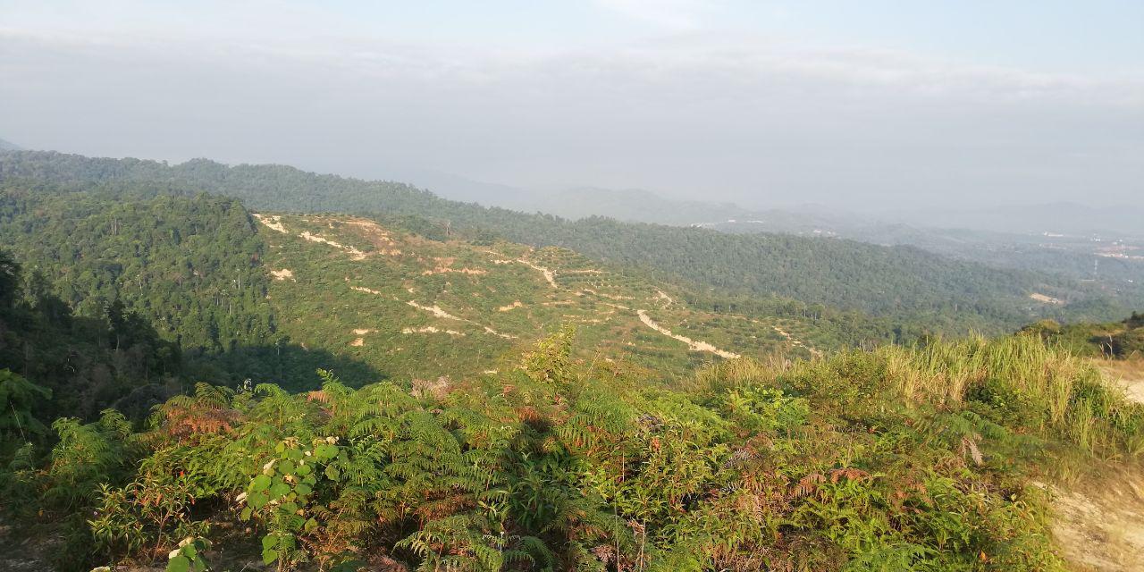 R U N N I N G: Bukit Senaling - Negeri Sembilan