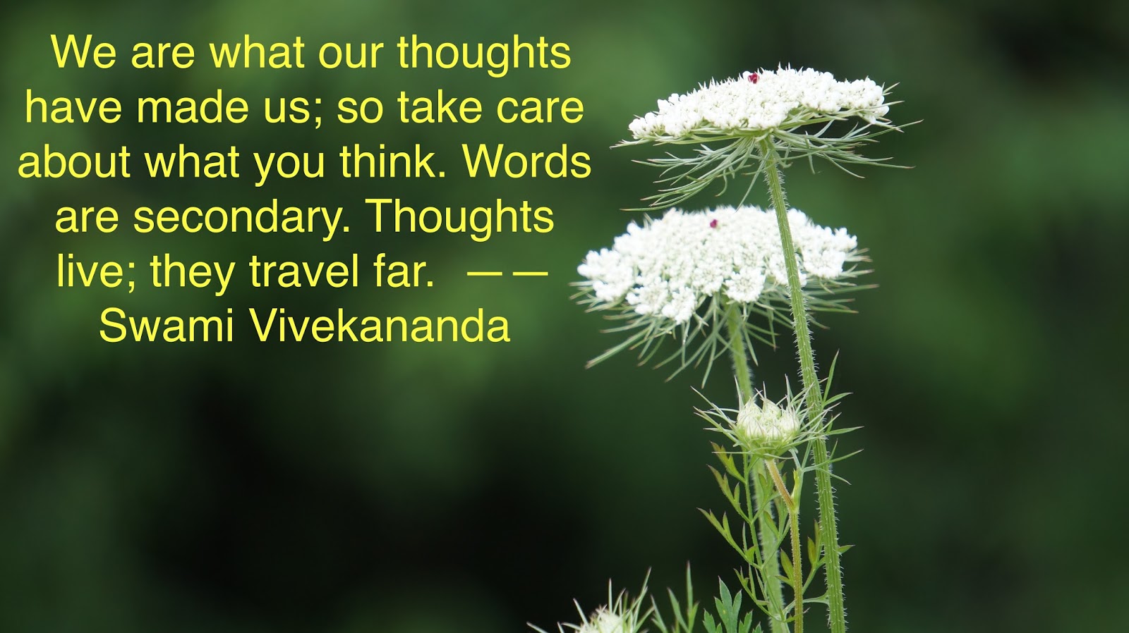Vedanta Quotes: Quotes