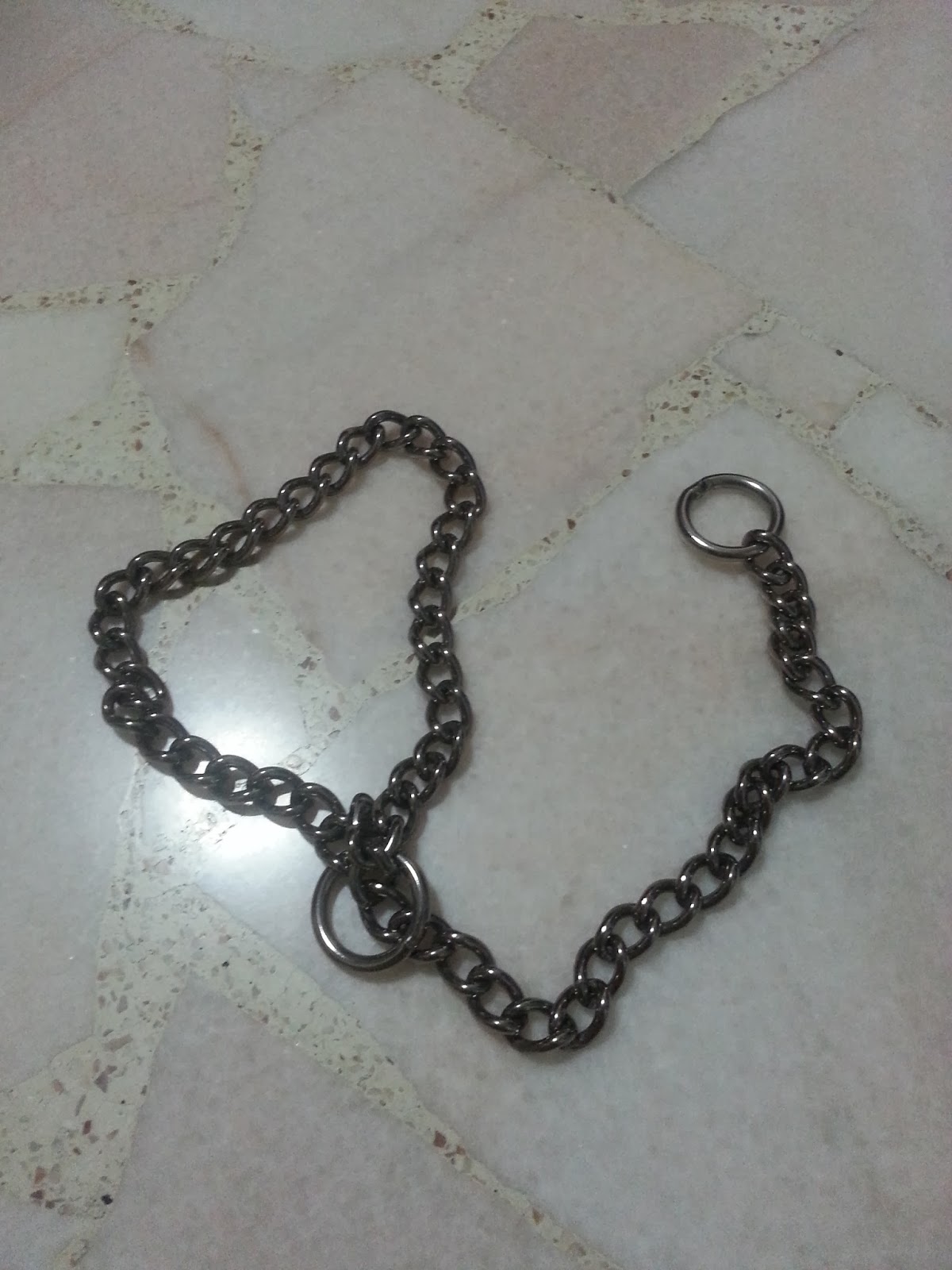 Kopii The Goldie: Our First Pet - Kopii