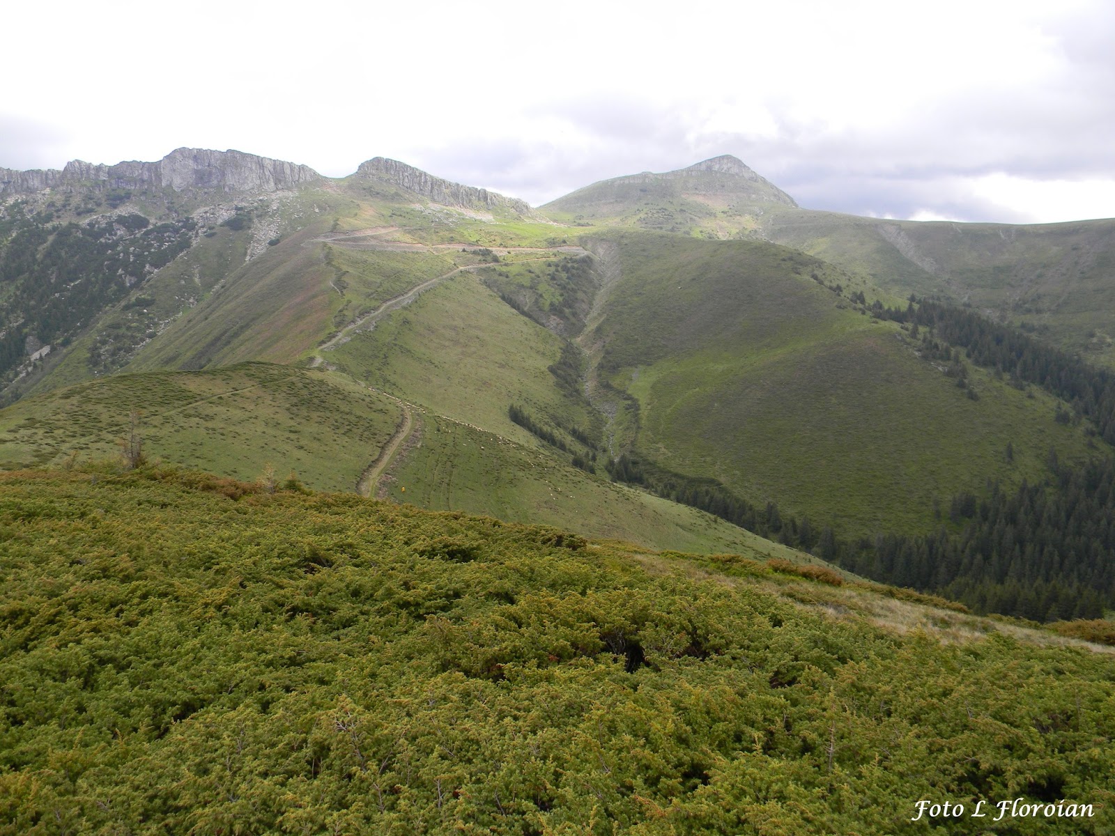Blog de calatorii si drumetii montane.: Leaota (Bucsa si Dudele),12 ...