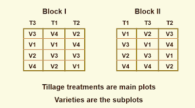 subodh: Split plot and strip plot analysis in R studio