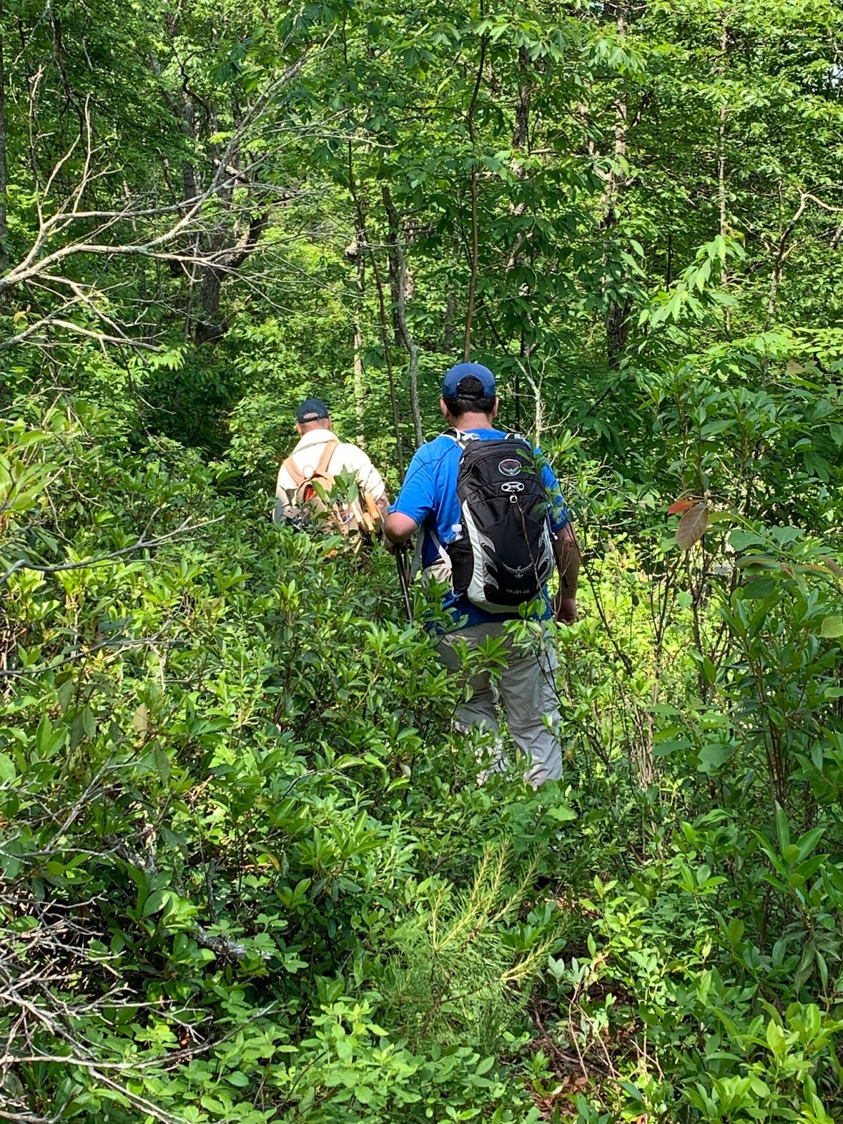 Charlottesville Chapter of the Potomac Appalachian Trail Club: Great ...