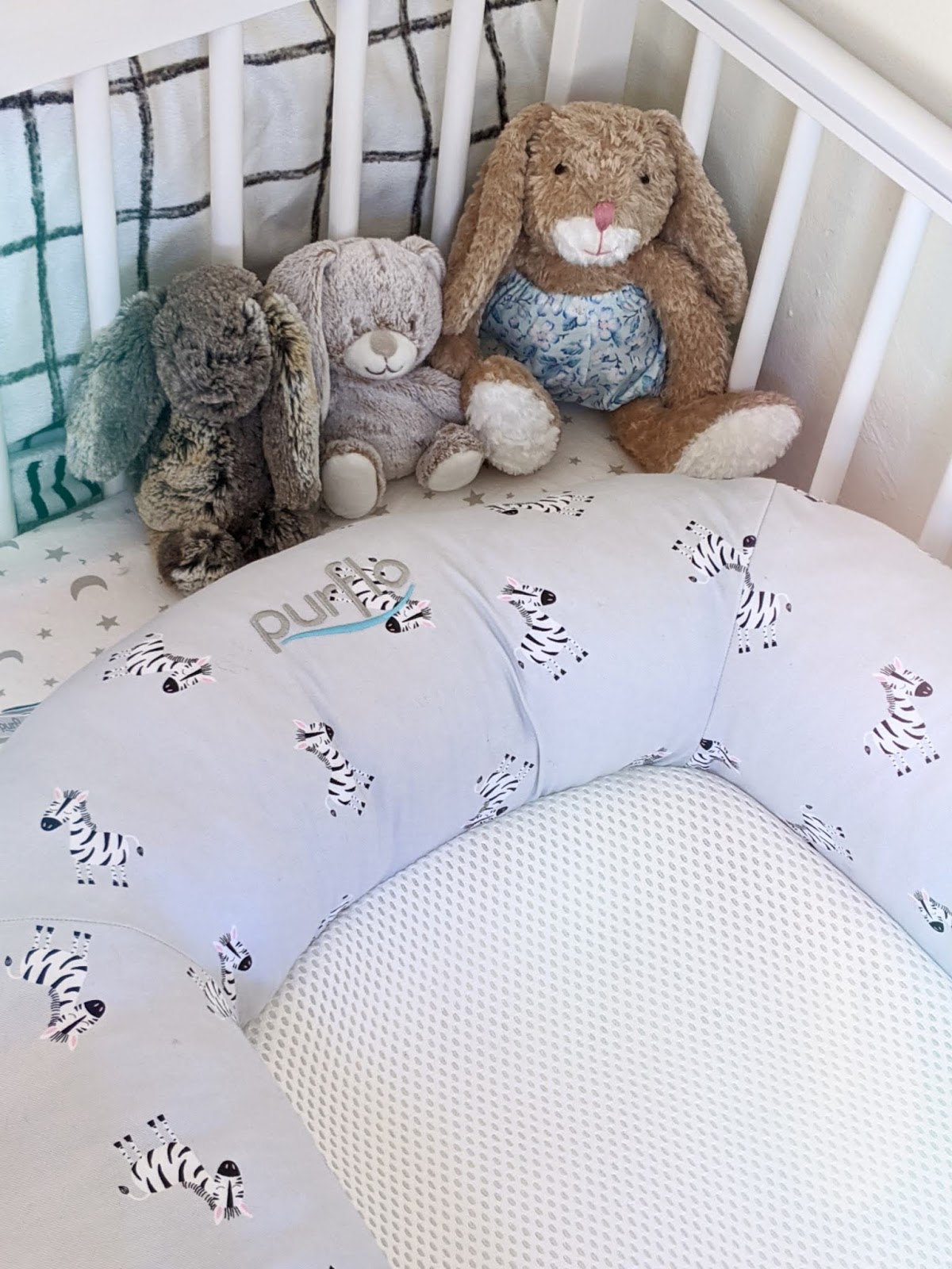 Purflo Maxi Nest Review | Little Pack of Vegans