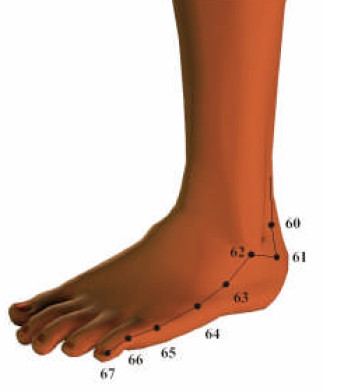 HEALING WAYS: ACUPOINT - BLADDER MERIDIAN (BL, UB)