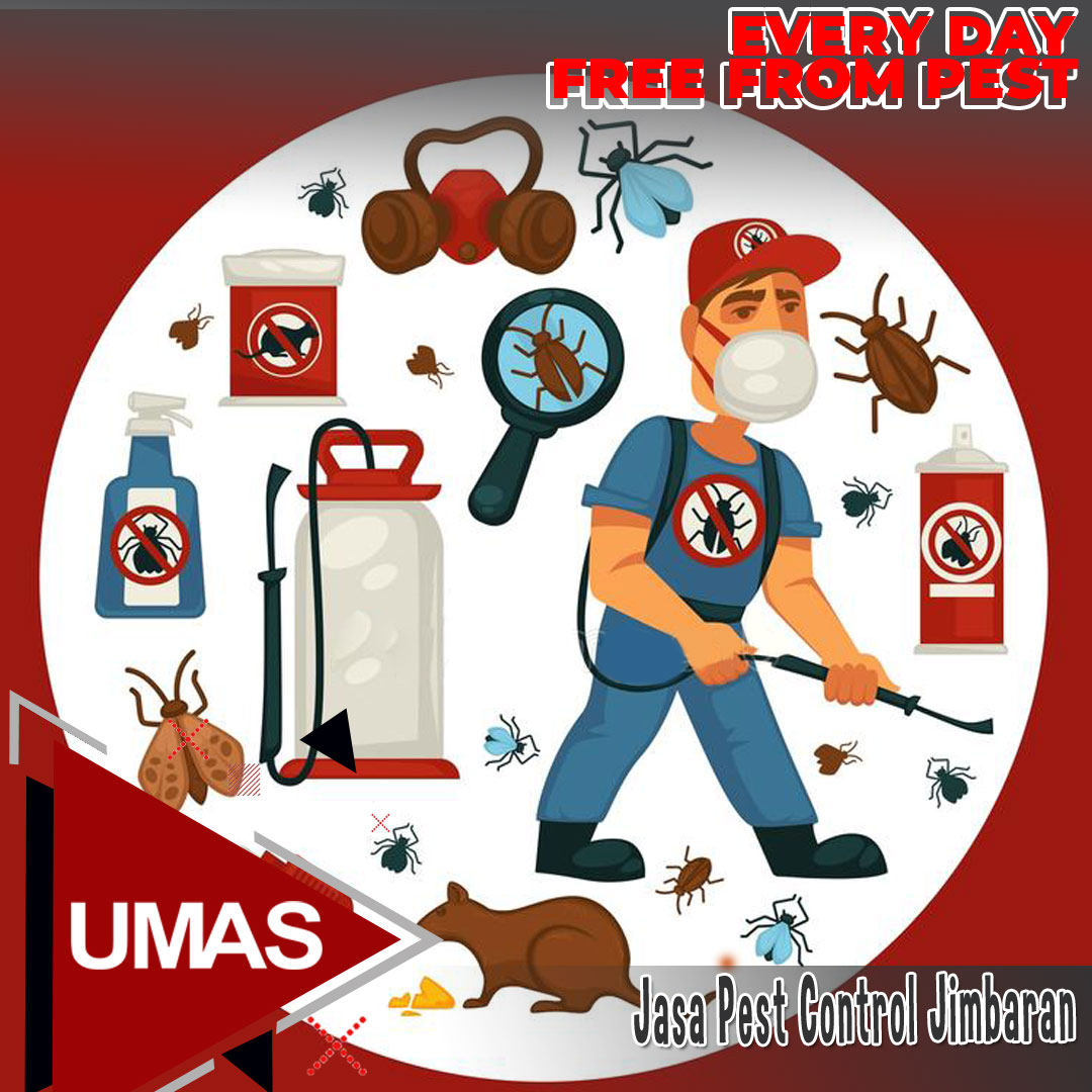 jasa pest control Jimbaran
