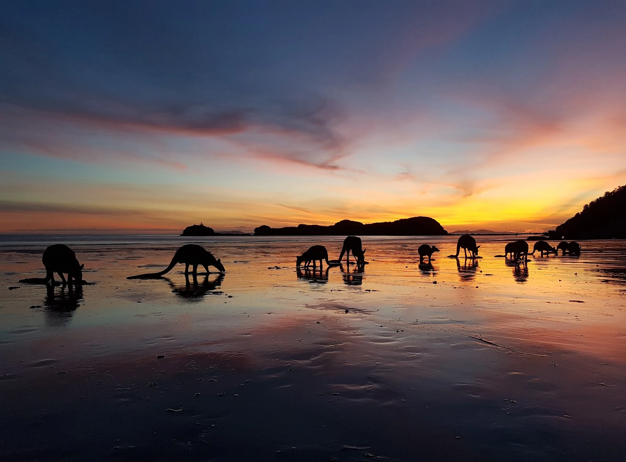 Cape Hillsborough National Park, Australia (with Map & Photos)