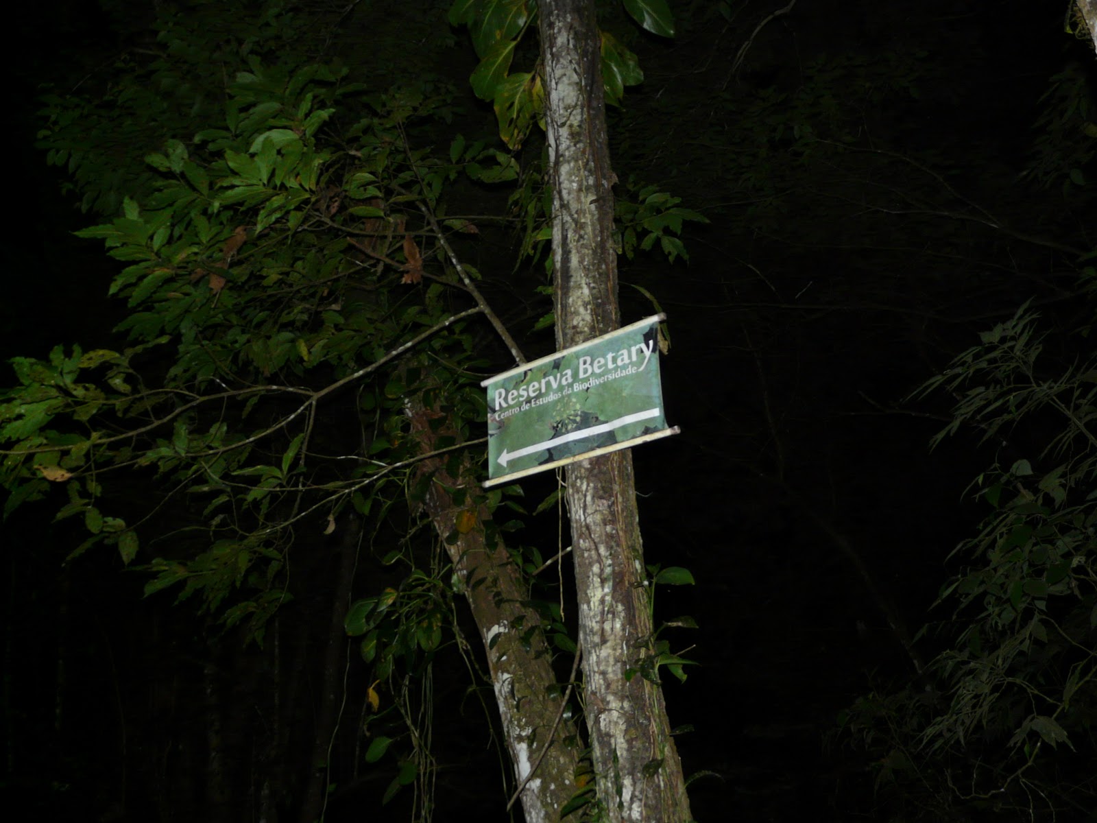 Reserva Betary