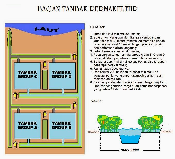 Rozlan Tawaa: MENUJU TAMBAK MODEL PERMAKULTUR