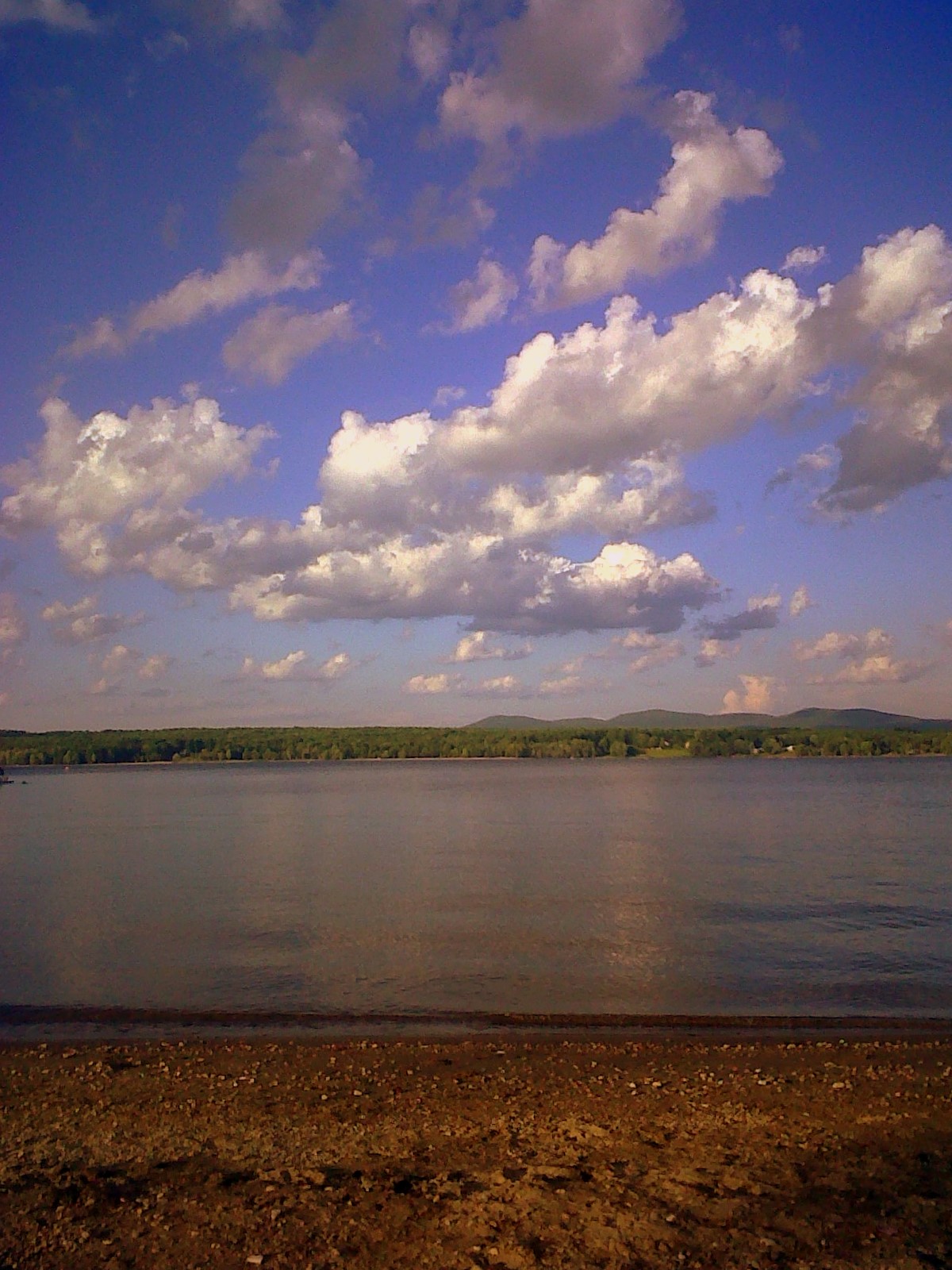 artsyBE: Summer Reflections