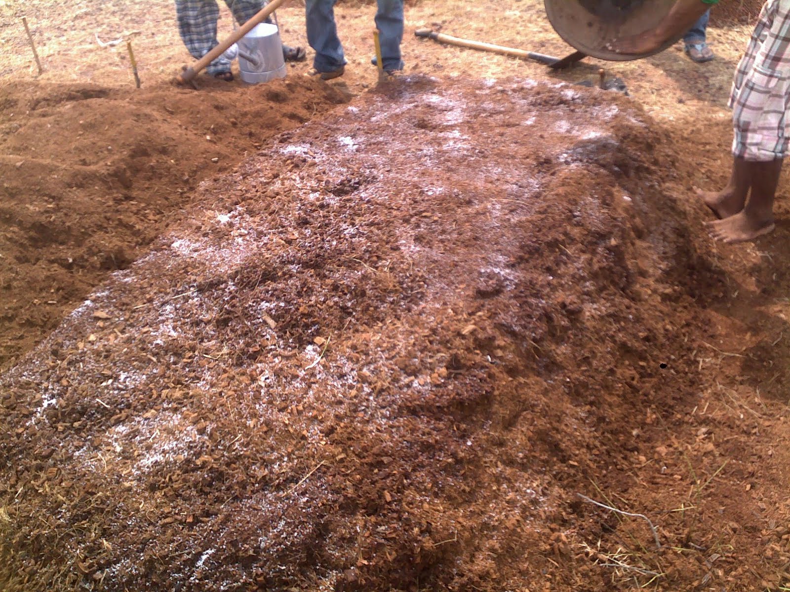 Techie2Aggie: Making in-house manure: Coir Pith