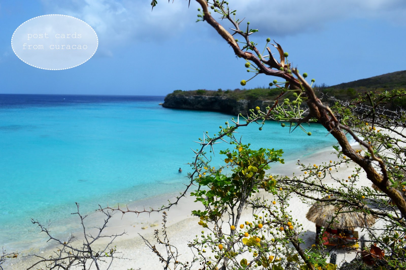 Heart of Gold: Postcards from Curacao (Part 1)