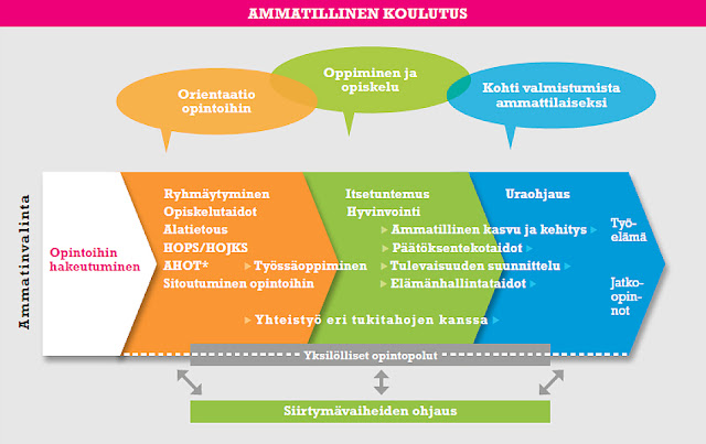 Vanhakin viisastuu: Ohjaussuunnitelma ja ohjauksen käytänteet hoitoalalla