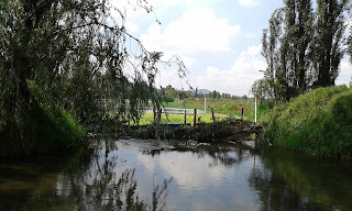 Embarcadero de Cuemanco, Xochimilco