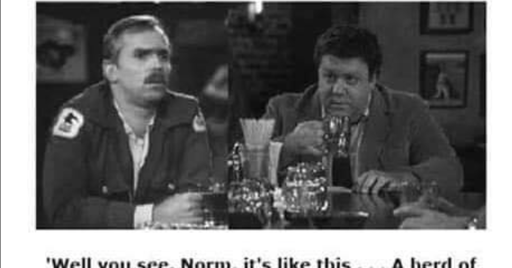 Skip's House of Chaos: Cliff Claven's Buffalo Theory