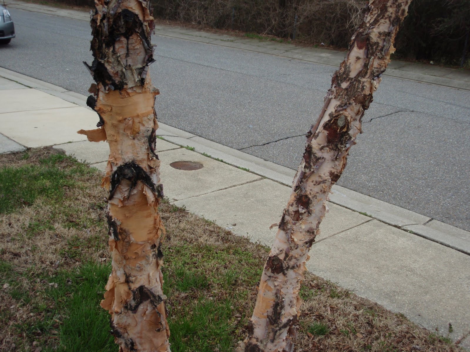 The Adventures of EarthTone and LoGear: Hobo Fishing Kit and Early Wild ...