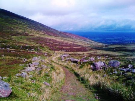 Louise Phillips Writer: September 2011