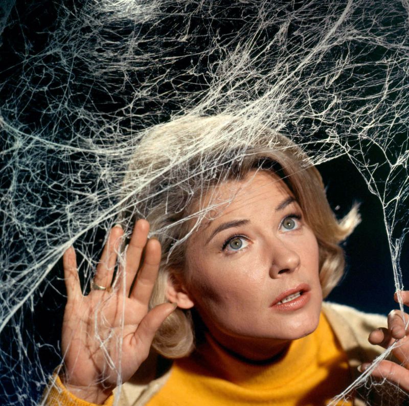 40 Beautiful Photos of Hope Lange in the 1950s and ’60s ~ Vintage Everyday