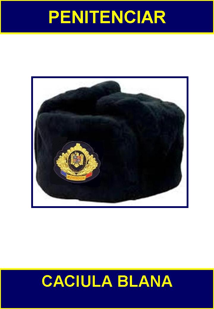 UNIFORME POLITIA PENITENCIARA ANP