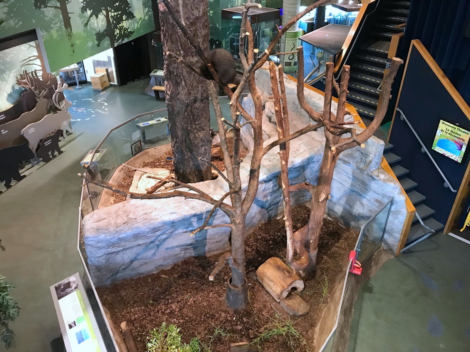 Create With Mom: Interactive Learning at Science North and Dynamic ...